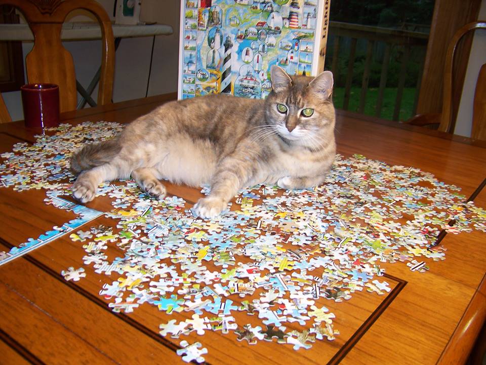 A Puzzling Situation