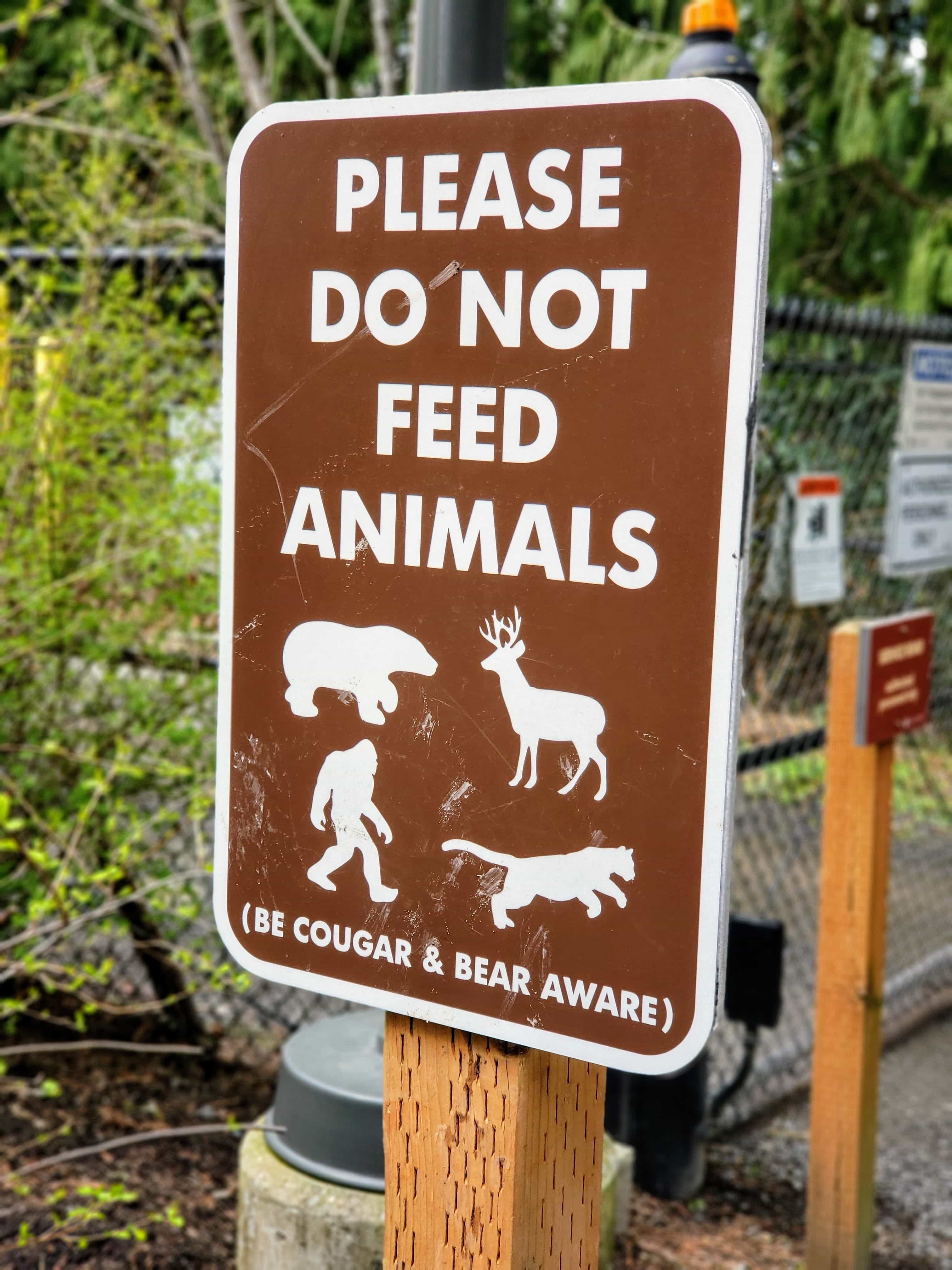 Bigfoot: Fact or Fiction?