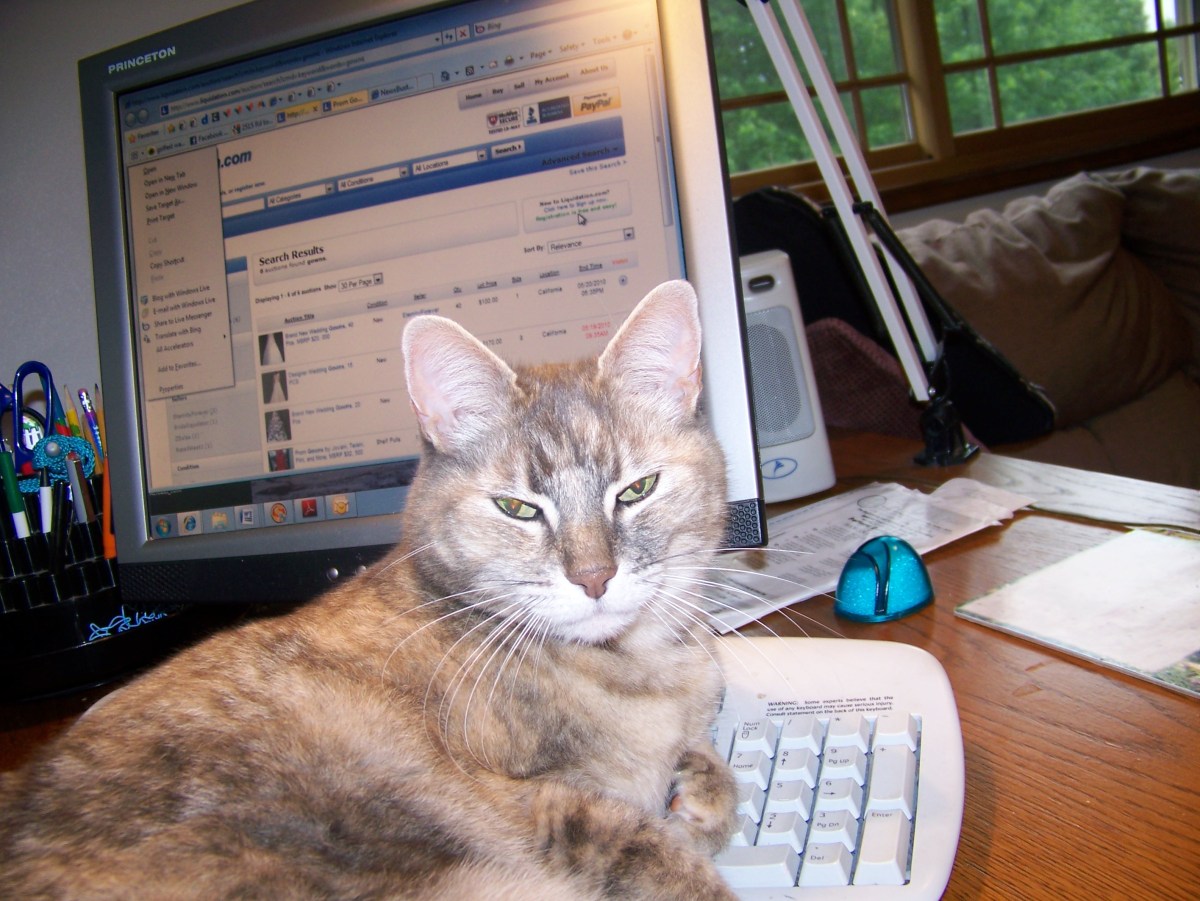 National Author’s Day | Barbara DeVore