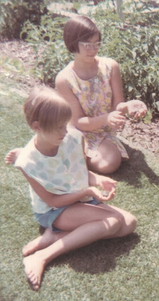 World Turtle Day | Barbara DeVore